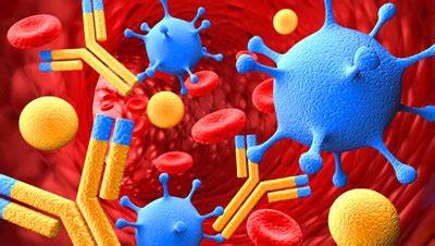 Sulfathiazole Dietary Supplement Powder CAS 72-14-0 HPLC Testing